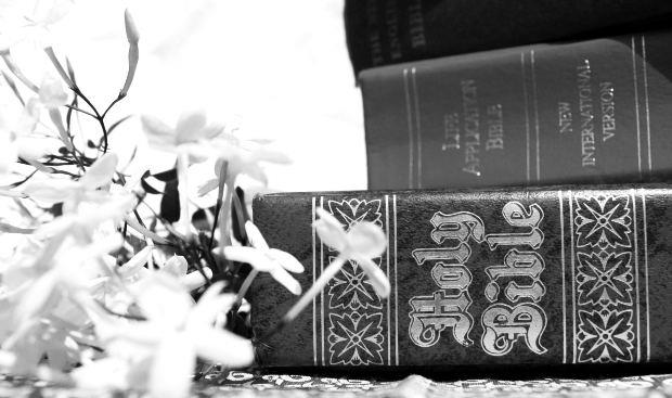 Bible B&W - Bible StoryBoards